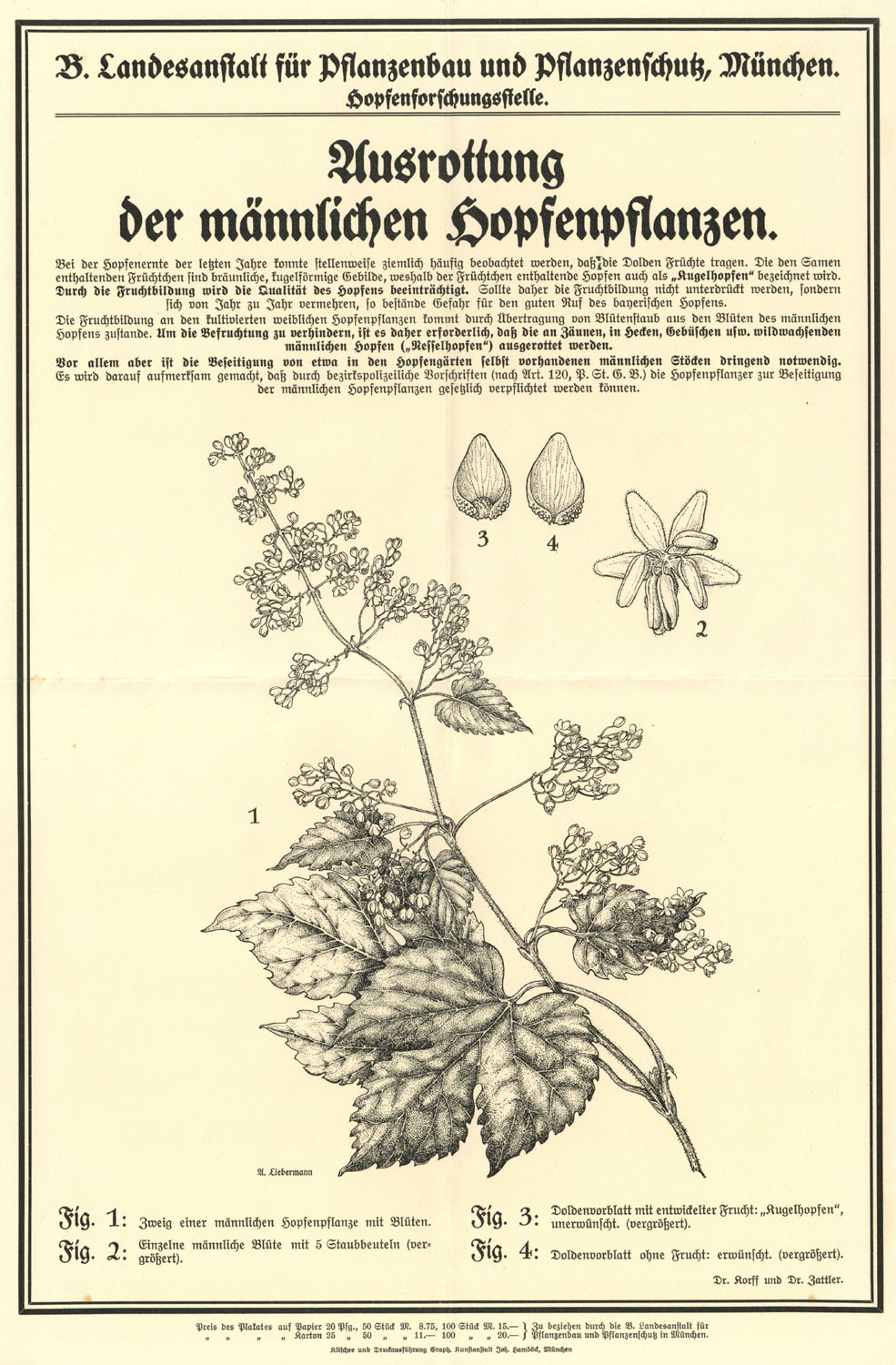 Deutsches Hopfenmuseum Wolnzach